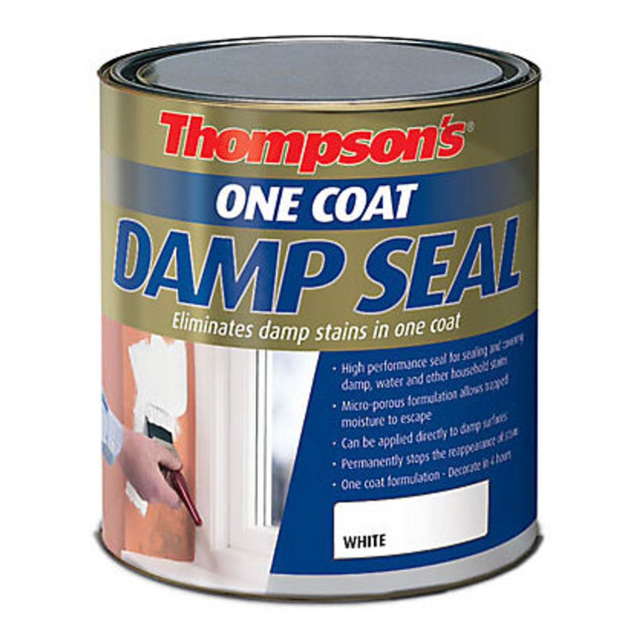 Thompson’s Damp Seal White (Assorted Types) | Selffix DIY