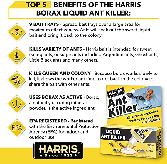 Harris Borax Liquid Ant Drops Killer 1oz - Selffix DIY Online Store