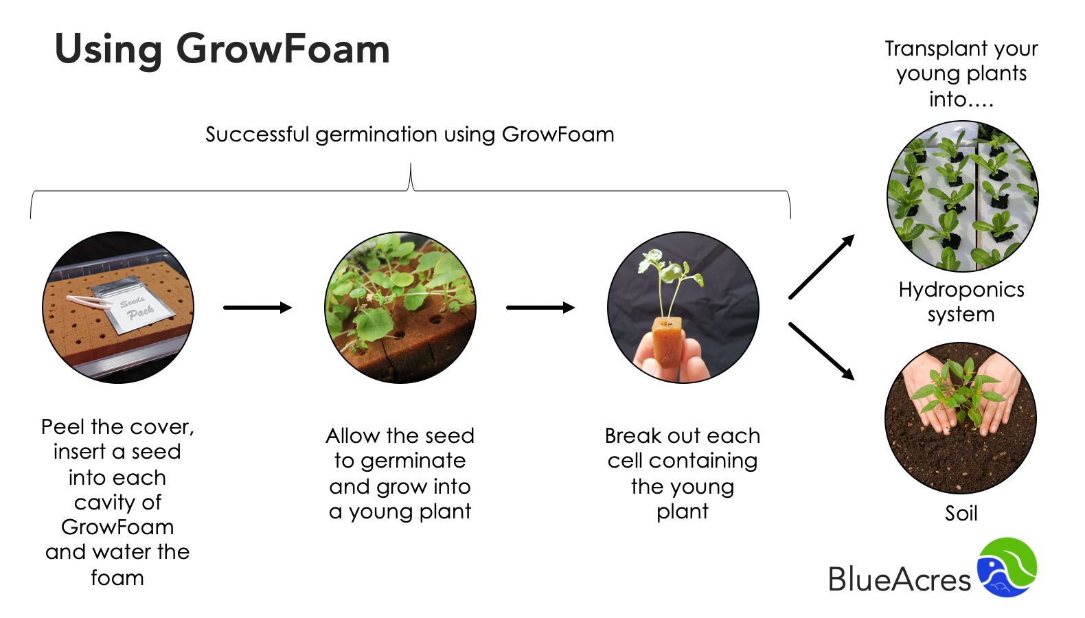 GrowFoam Seed Germination Solution - Selffix DIY Online Store