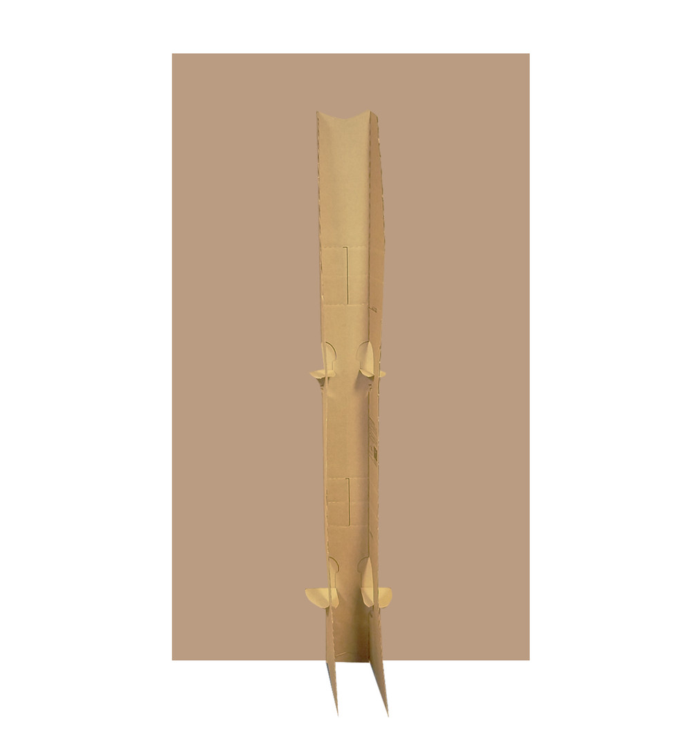 Mickey and Minnie Step and Repeat Standup