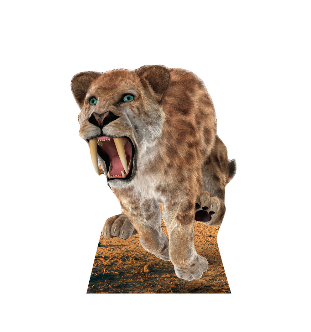 Saber Tooth Tiger