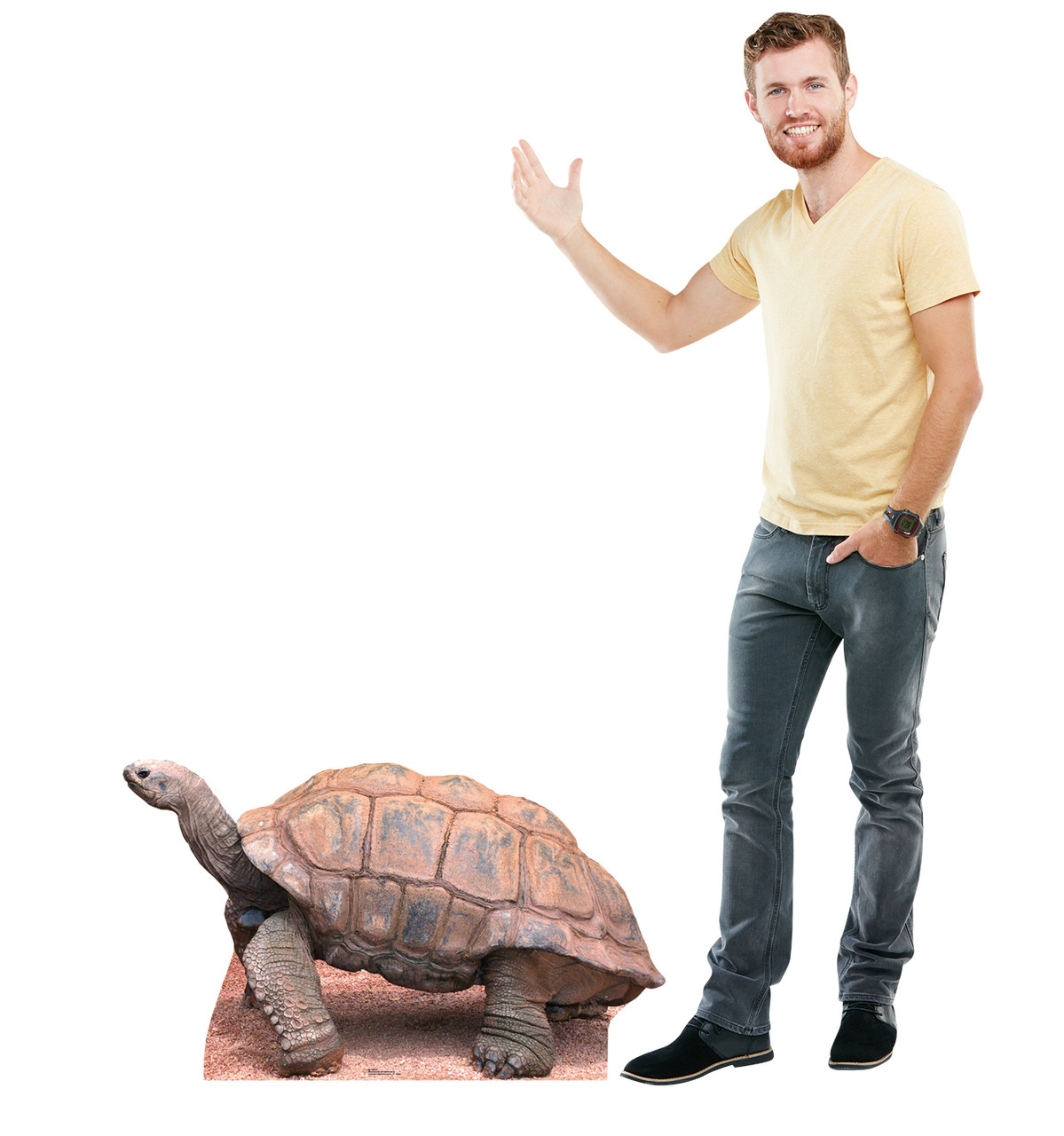 Lifesize Tortoise Cardboard Cutout | Cute Party Decoration | Joyful ...