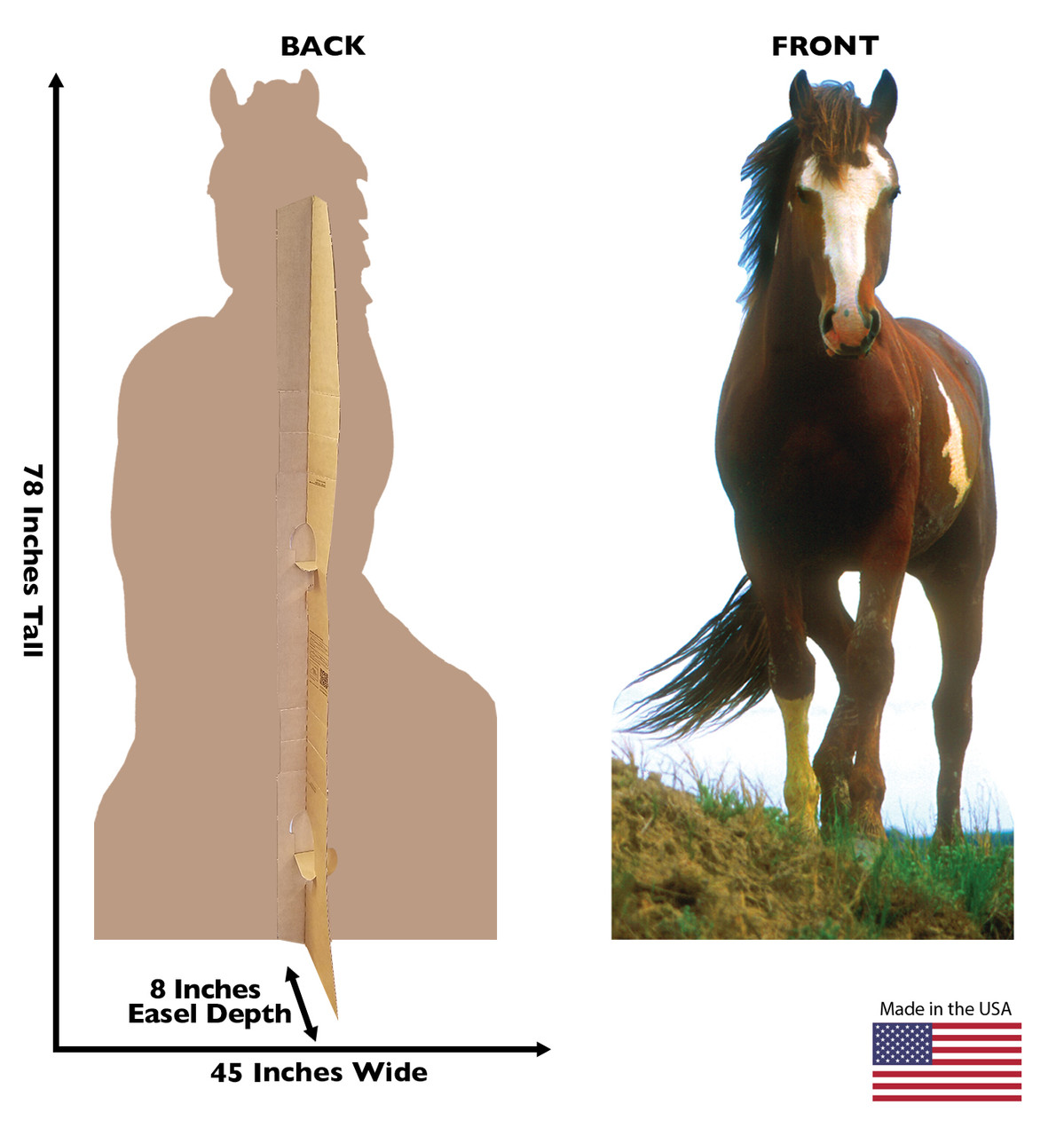 Mustang Horse