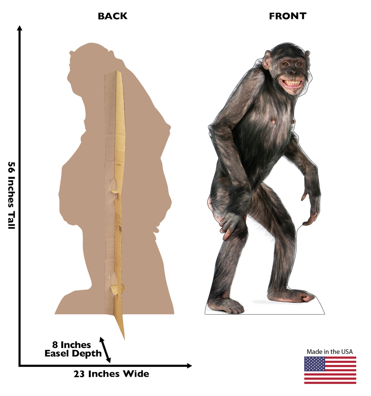 Chimpanzee