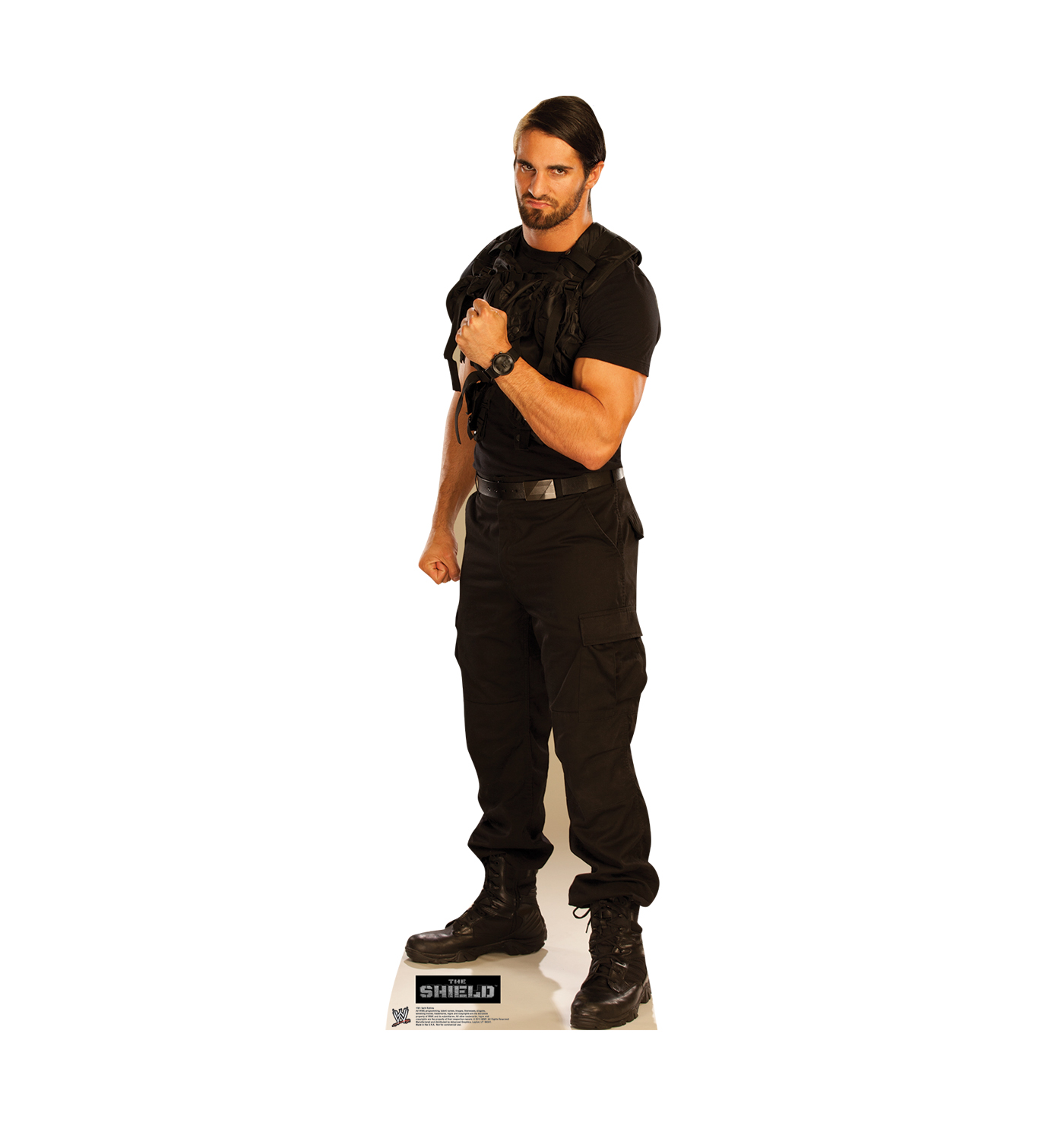 Wwe Shield Seth Rollins Body