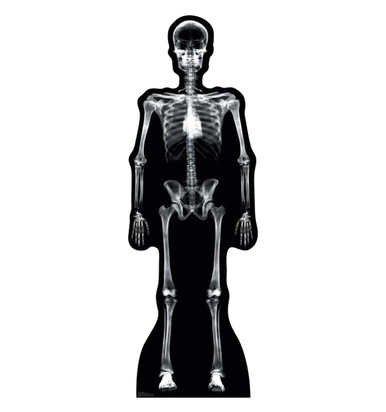 Life-Sized X-Ray Skeleton | Spooky Halloween Decor | Catch Eyes Fast