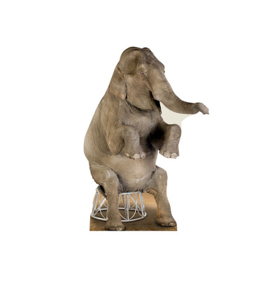 Stunning Asian Elephant | Life-Size Cutout | Perfect for Parties