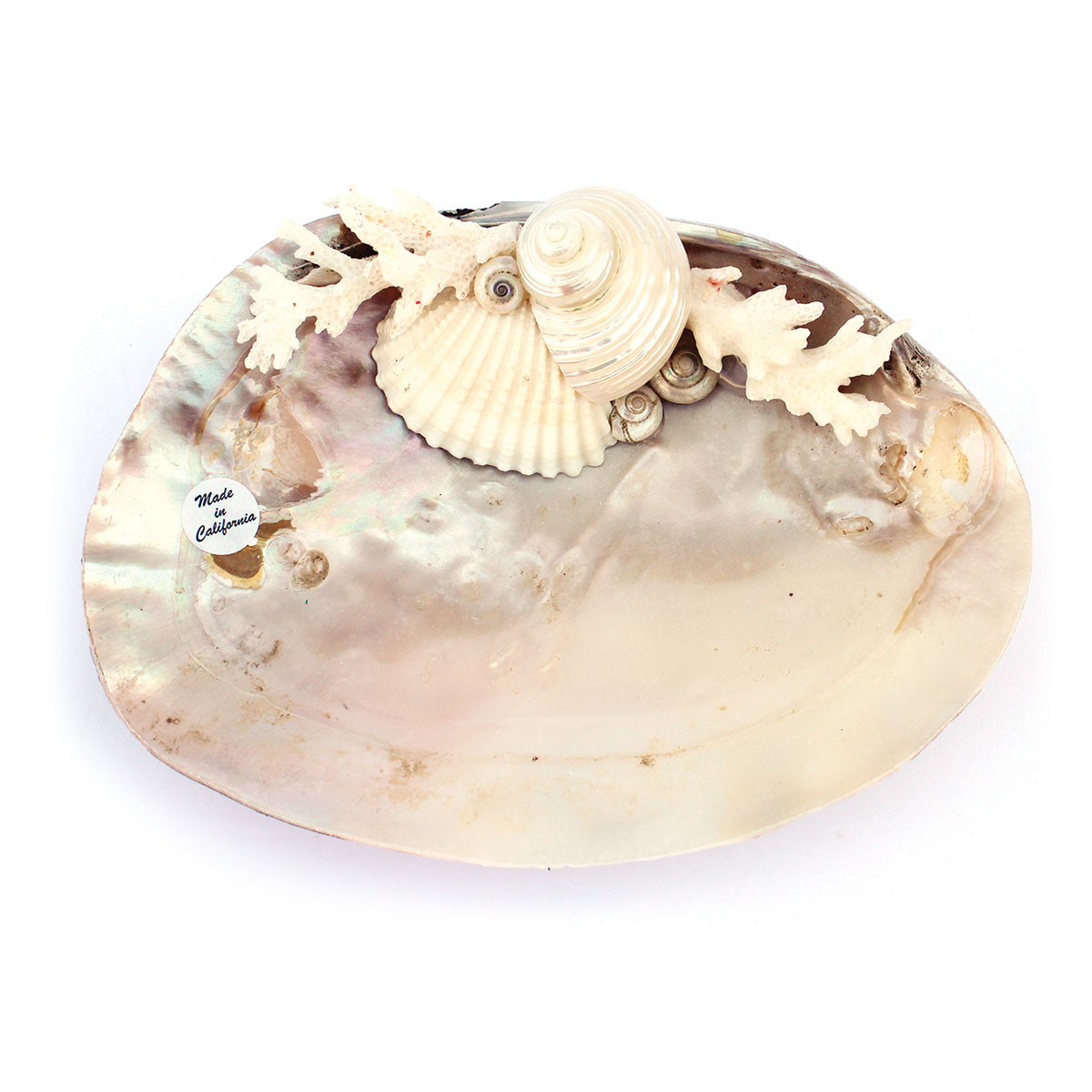 Hand-Crafted Oyster Ring Dish with Pearl Turbo and Aqua Sea Glass ...
