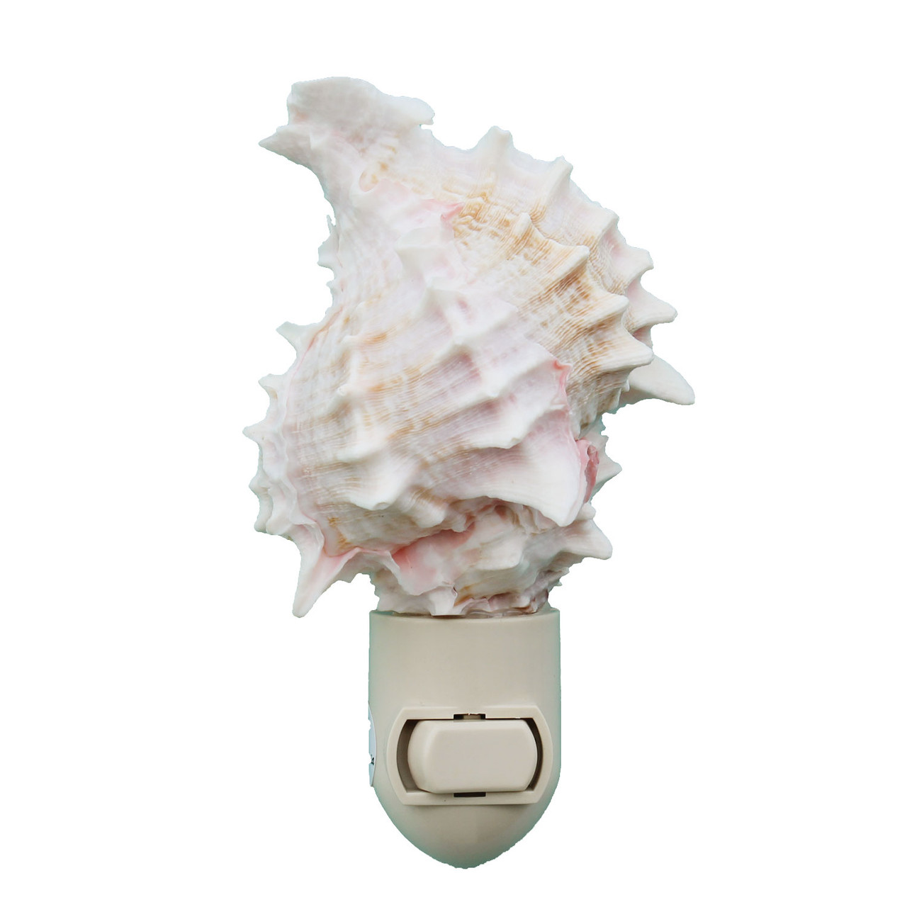 Handmade Sea Shell Night Lights - The California Seashell Company