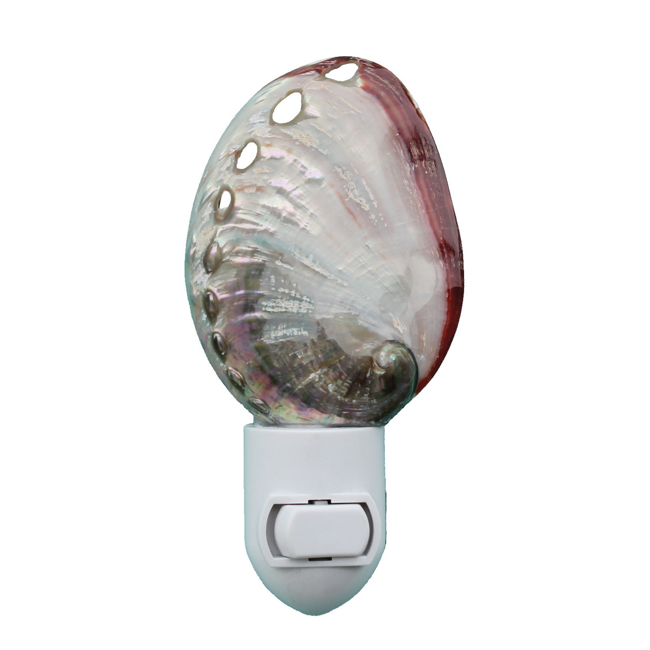 Handmade Sea Shell Night Lights - The California Seashell Company