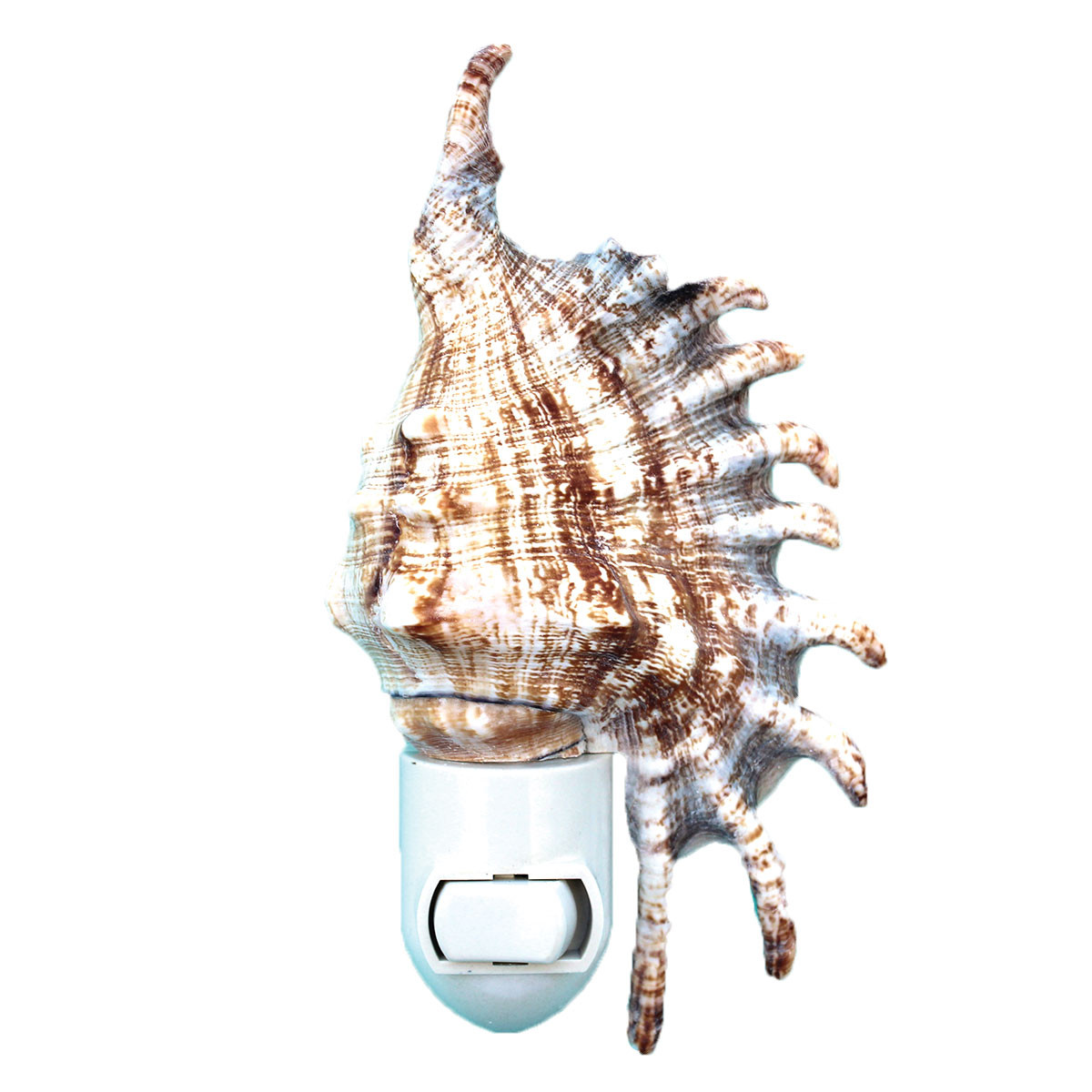 Handmade Sea Shell Night Lights - The California Seashell Company