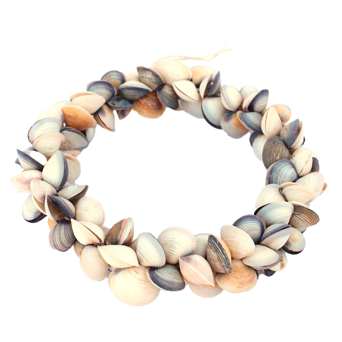 ON SALE Seashell & Coastal Decor - Savings for California Seashell Co