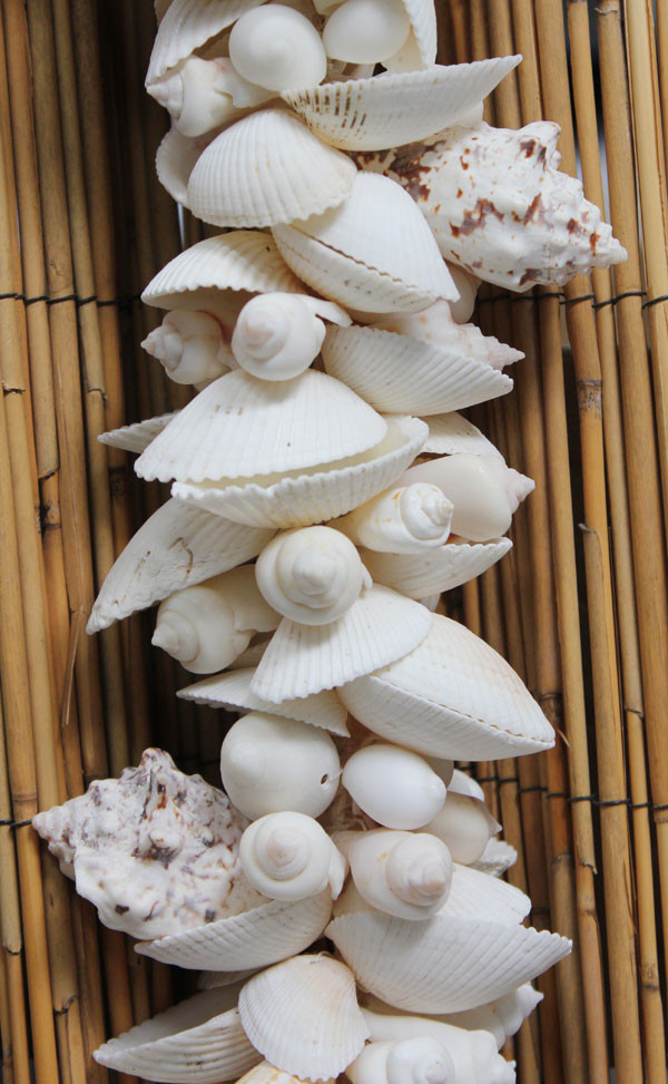 White Shell Cluster Garland Strand - Holiday Decor - California ...
