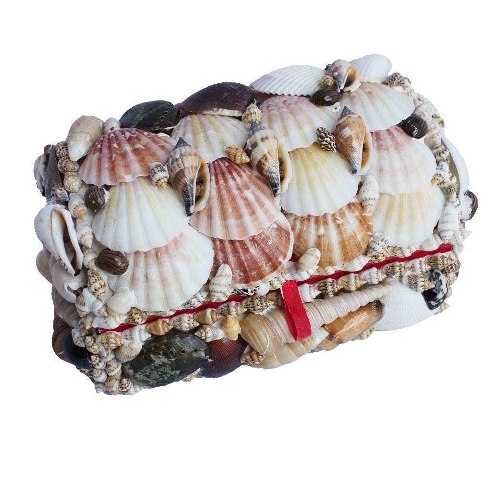Large Natural Seashell Treasure Chest - Shell Jewelry Box - Beach ...