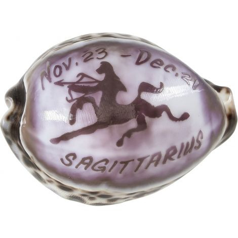 Sculpture Art Objects small Pisces Zodiac Sea Shell Art & Collectibles ...