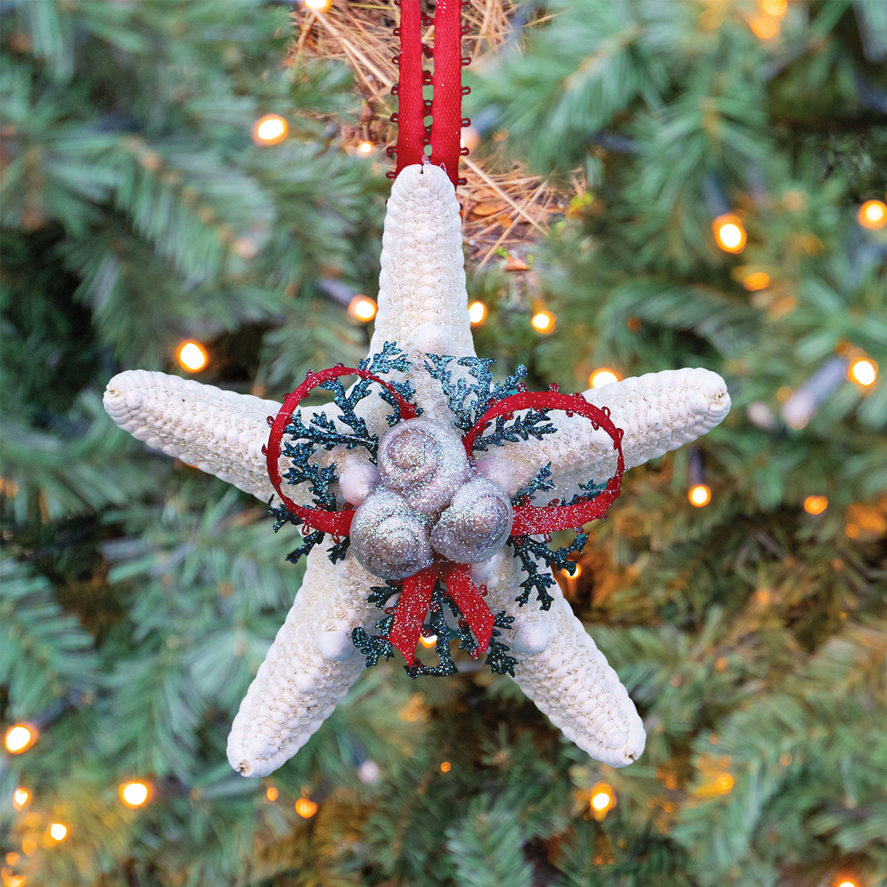 White Bumpy Starfish Evergreen Ornament - California Seashell Company ...