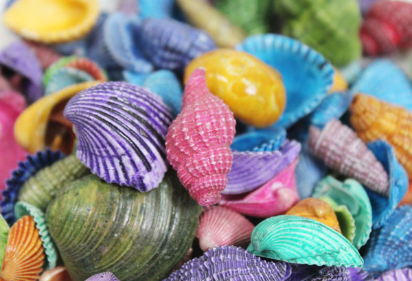 Colored Seashells Mix - Bulk Craft Shells - California Seashell Company