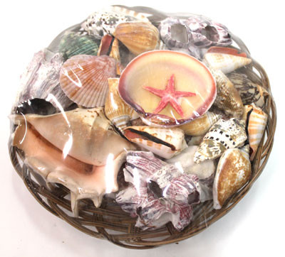 4 Inch Shell Basket - Assorted Craft Shells - California Seashell Company