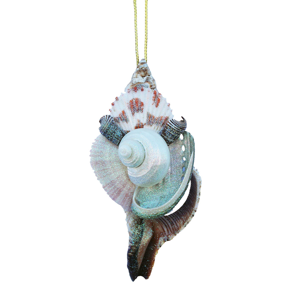 Blonde Halo Shell Angel with Sliced Auger Wings - Beach & Coastal ...