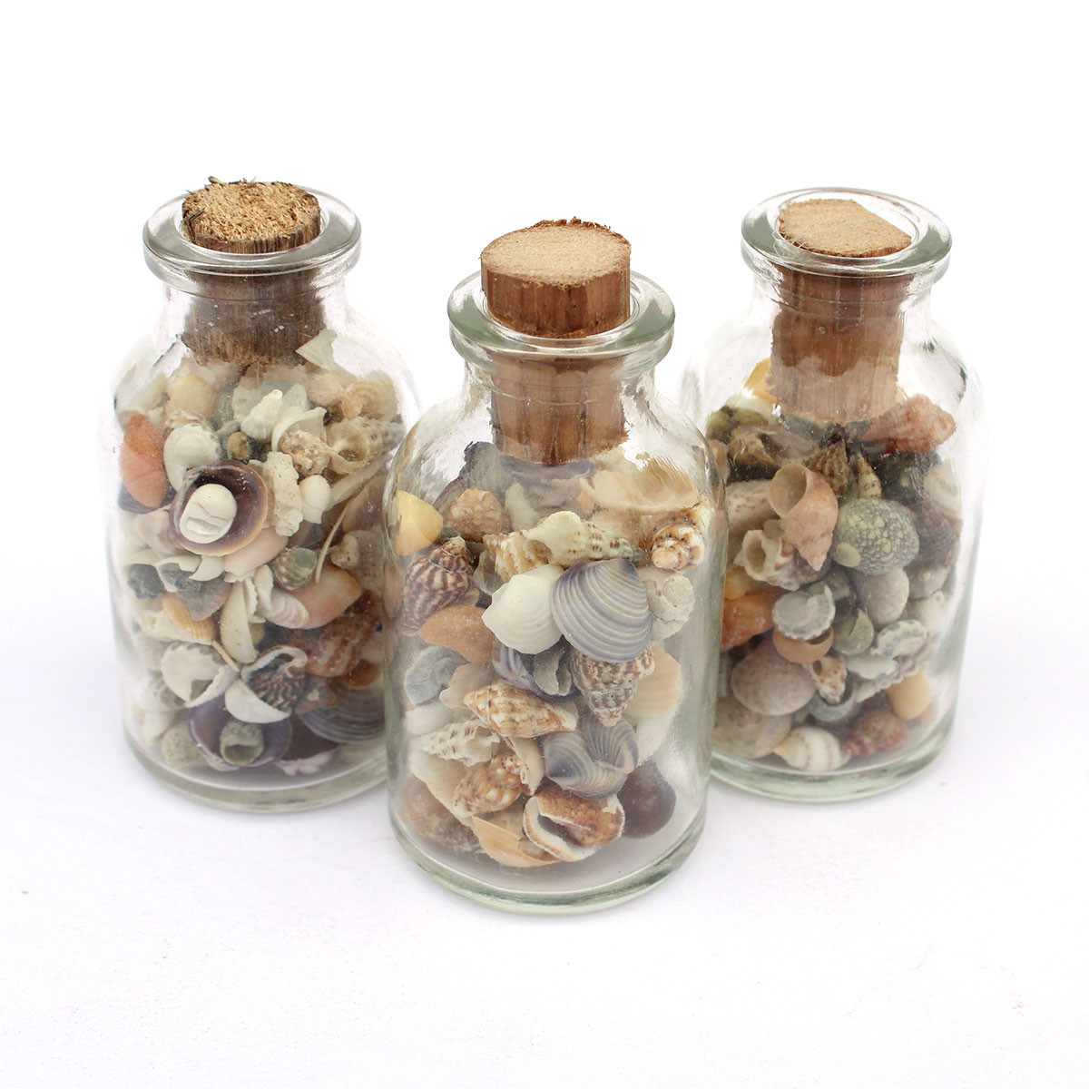 Made in the USA Seashell Bottles - Beach in a Bottle - California ...