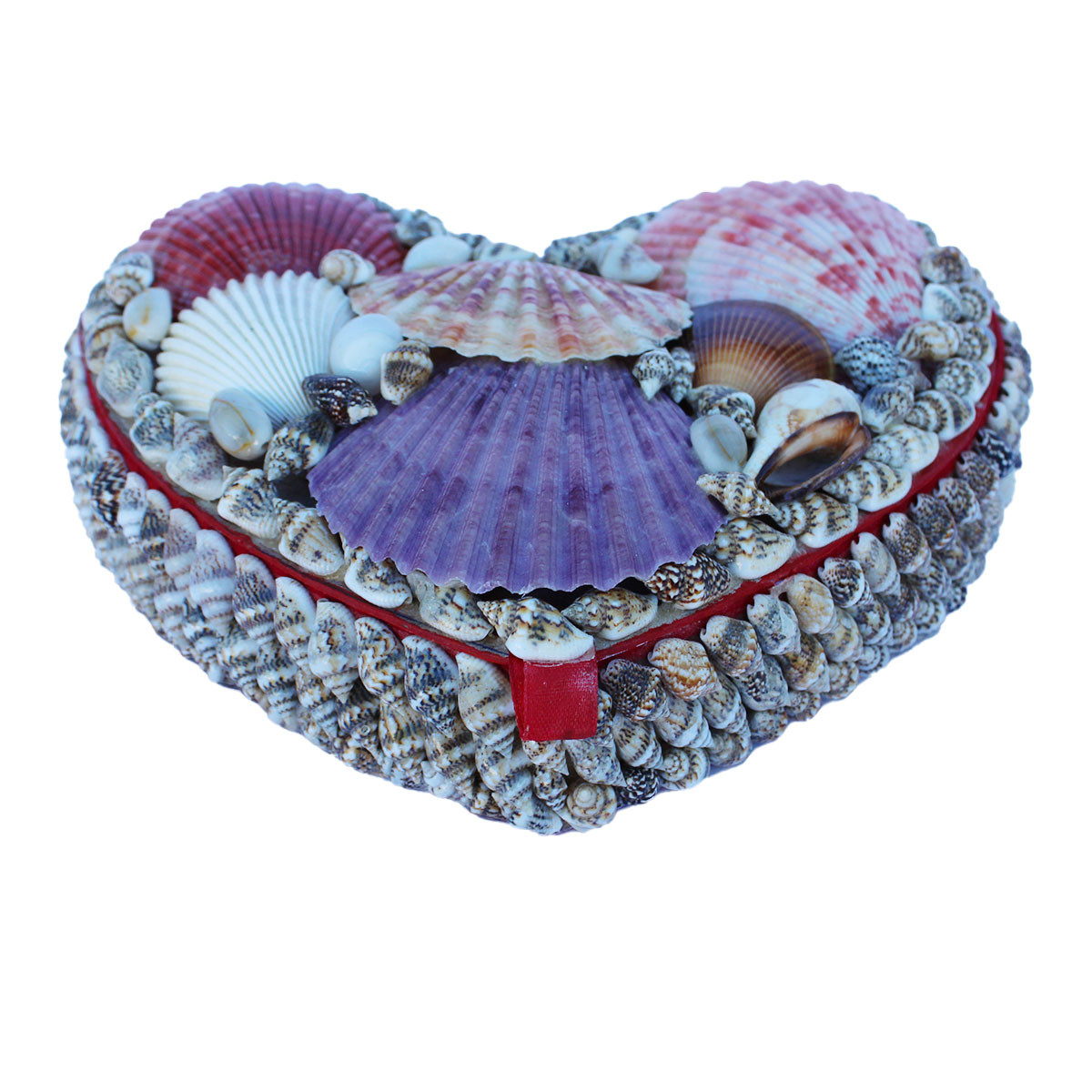 Sea Shell Boxes • Nautical Treasure Chests - California Seashell Company