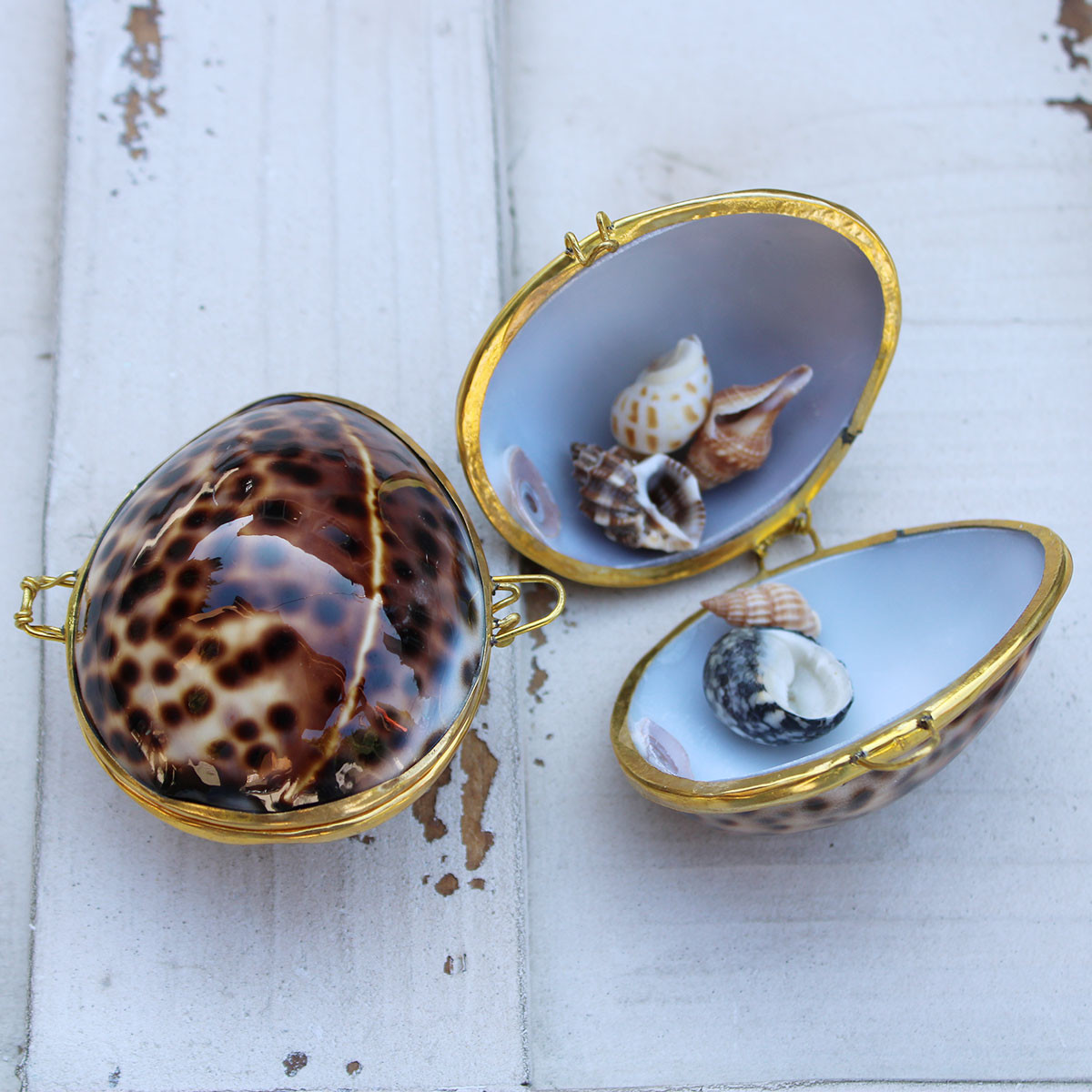 Seashell Decor - Shell Coin Purses - California Seashell Company Retail