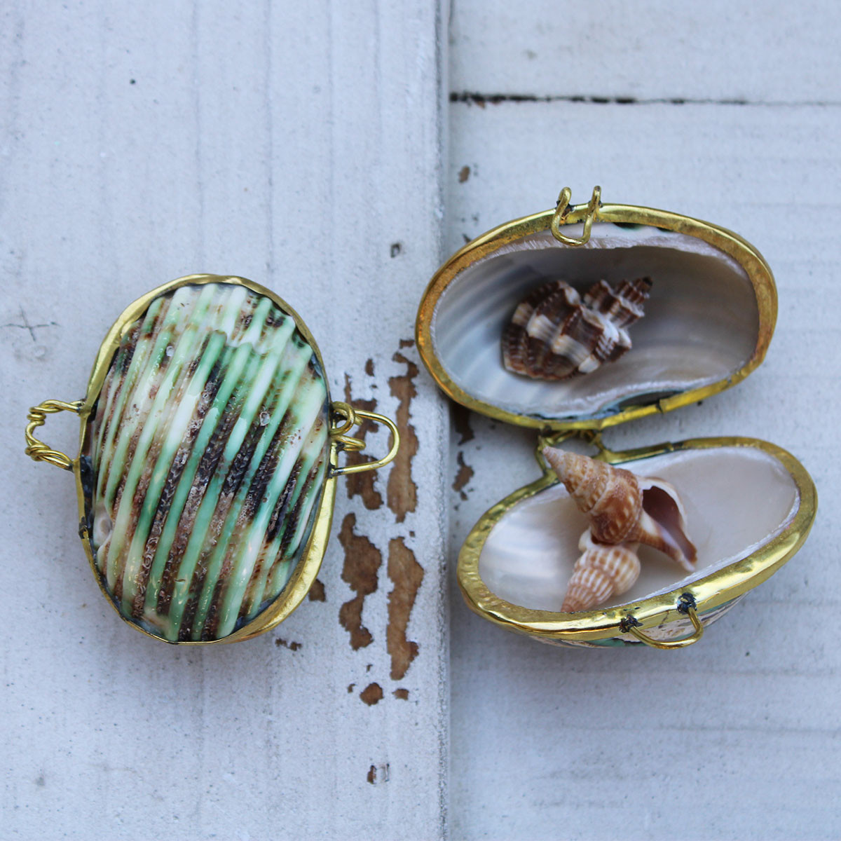 Green Turbo Banded Seashells - Craft Shells - California Seashell Company