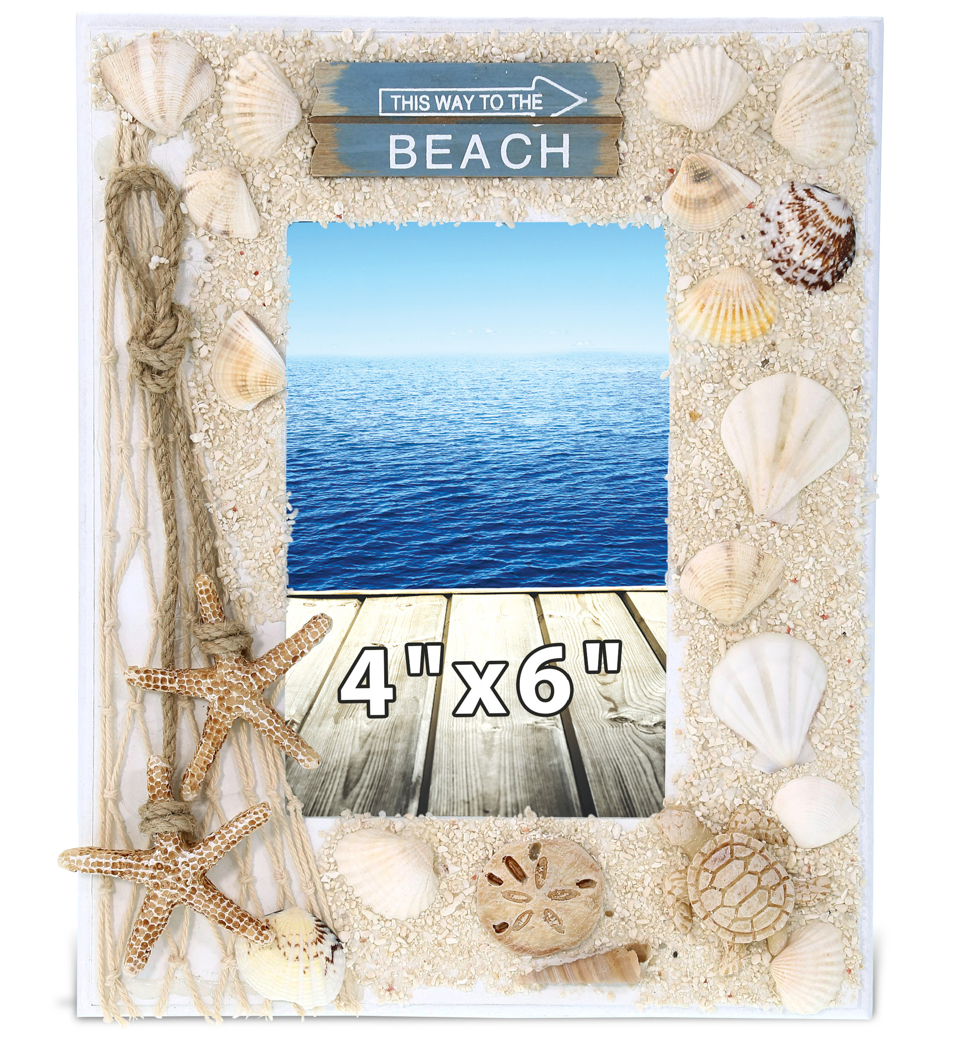 Seashell Frames - Beach & Surf Picture Frames - California Seashell Co