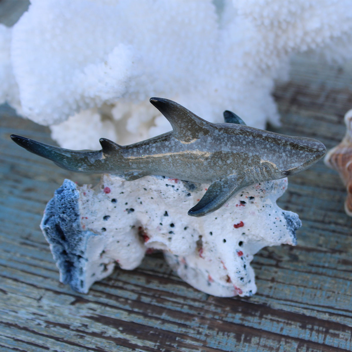 Decorative Coral Chunks - Natural Coral Pieces - Coral Decor
