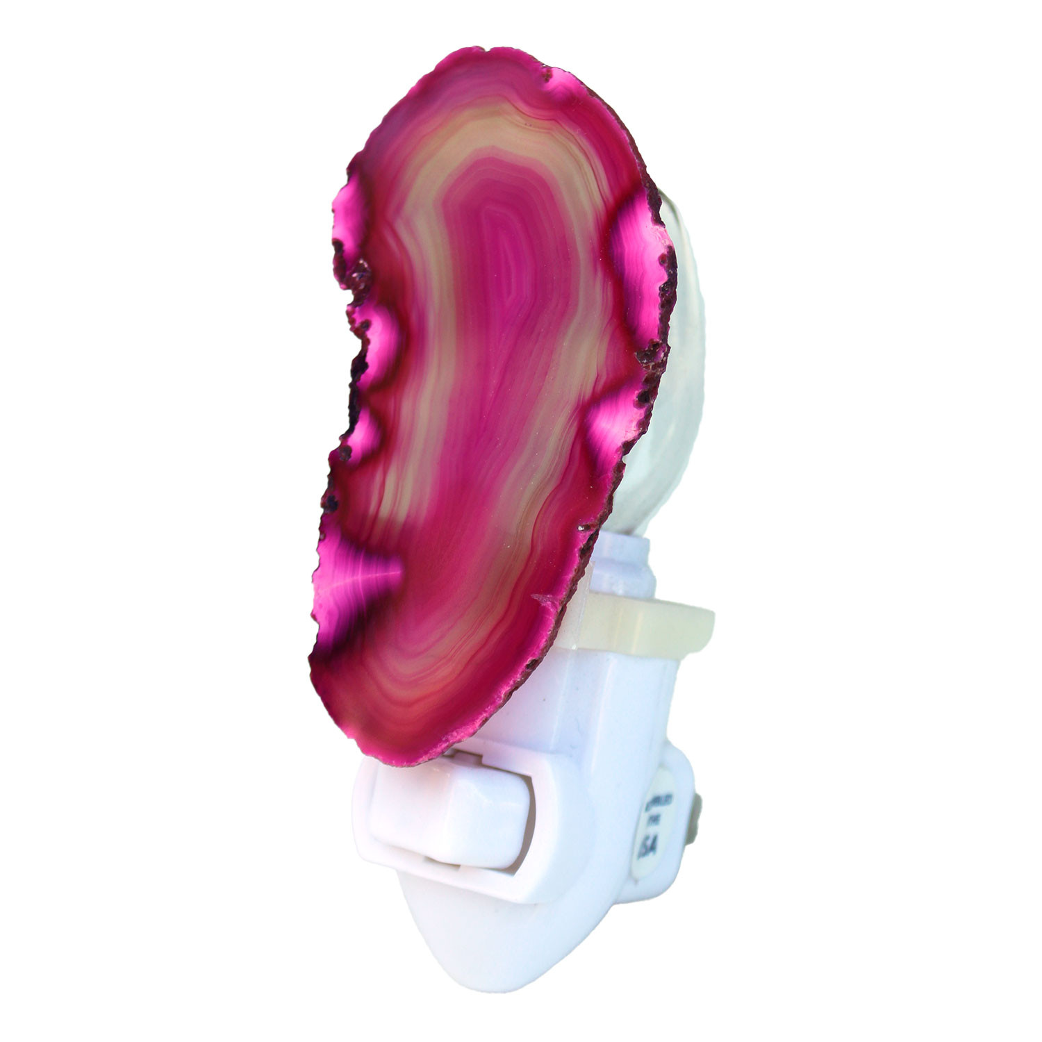 Handmade Sea Shell Night Lights - The California Seashell Company