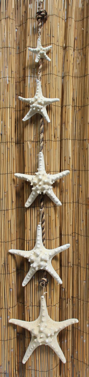 Seashell, Starfish & Driftwood Garland - California Seashell Co