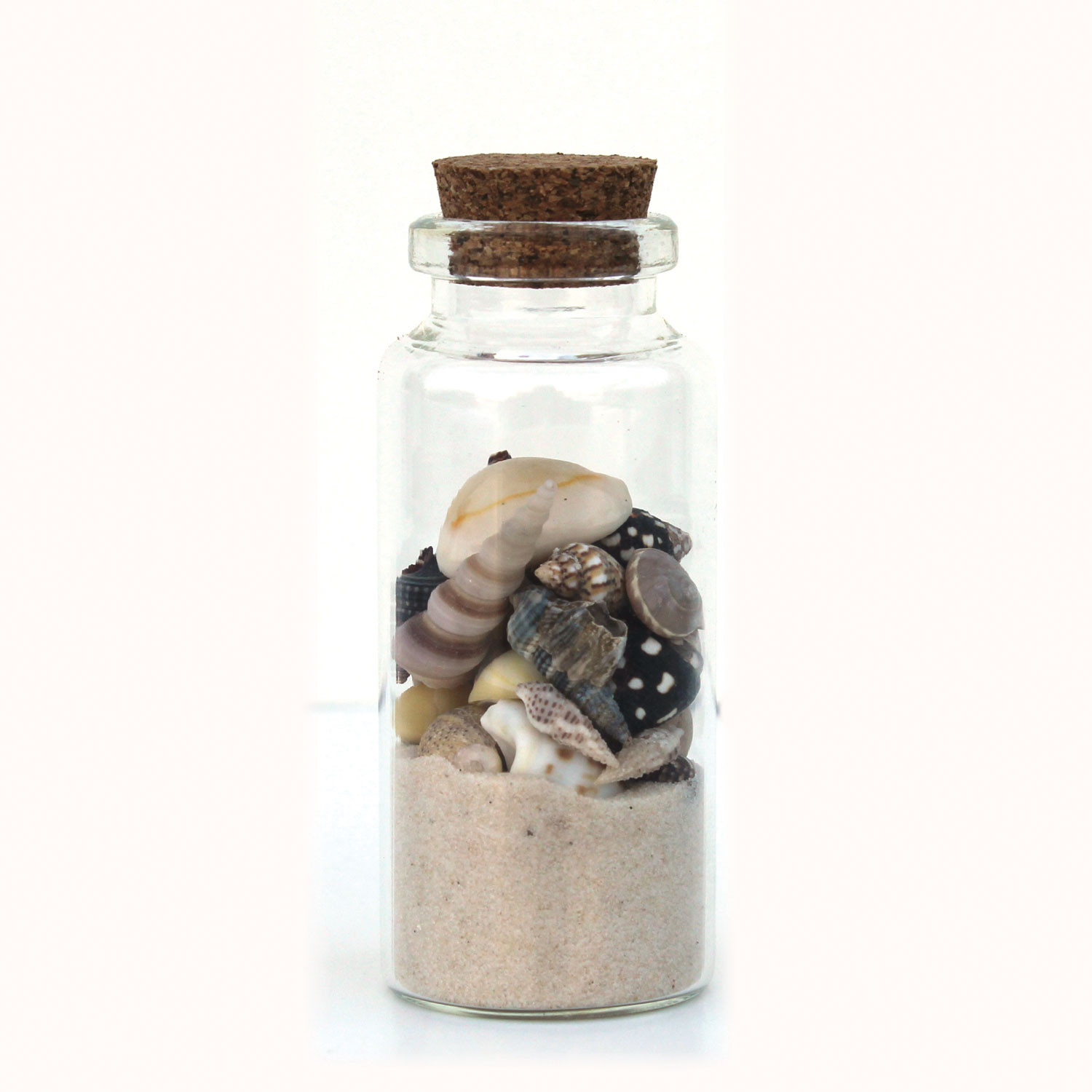 Made in the USA Seashell Bottles - Beach in a Bottle - California ...