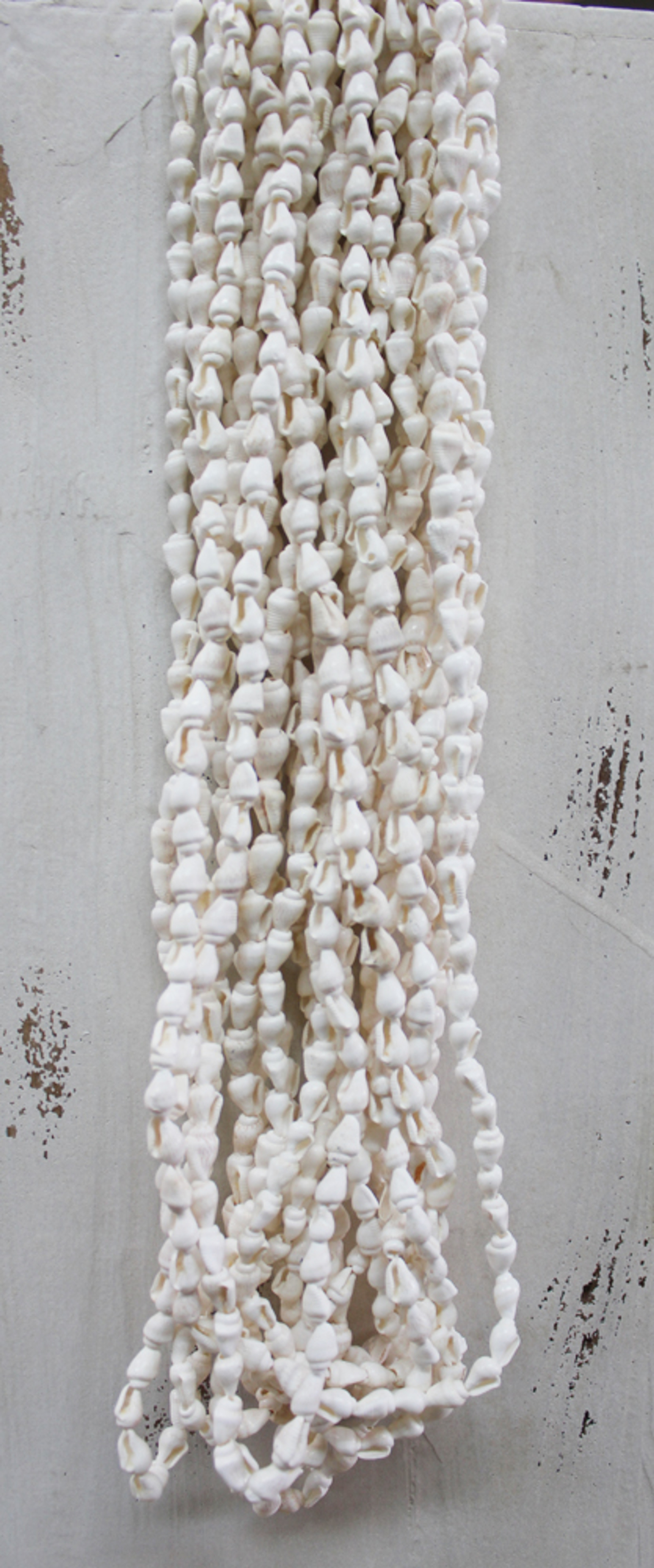 White Nassa Sea Shell Leis - 1 dozen - Seashell Necklaces - Beach ...