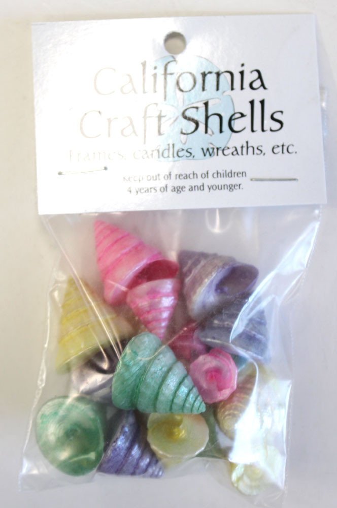 White Pearlized Among Pong Seashells - Beach Wedding Decor Seashells ...