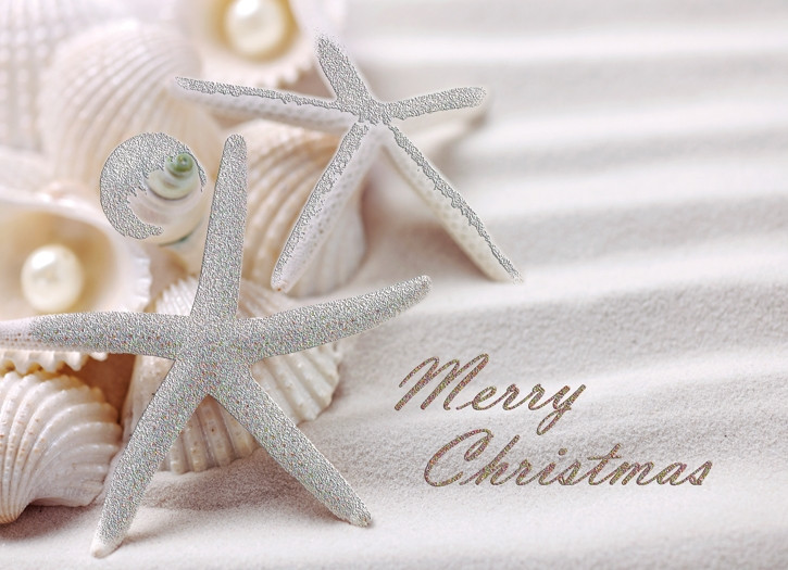 Seashells & Pearls Glitter Holiday Cards - Coastal Christmas Stationery ...