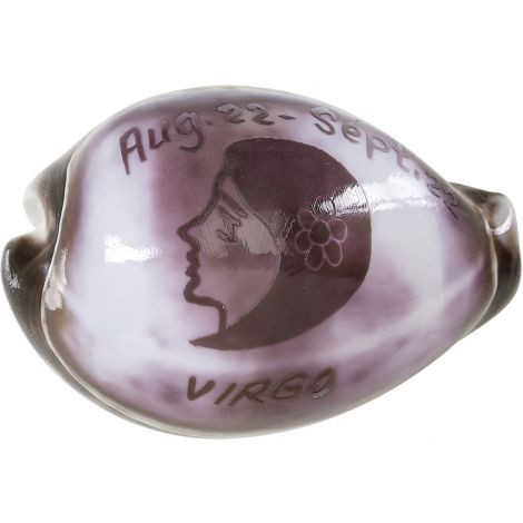 Zodiac Sign Carved Cowrie Seashells - Cowry Shells - California ...