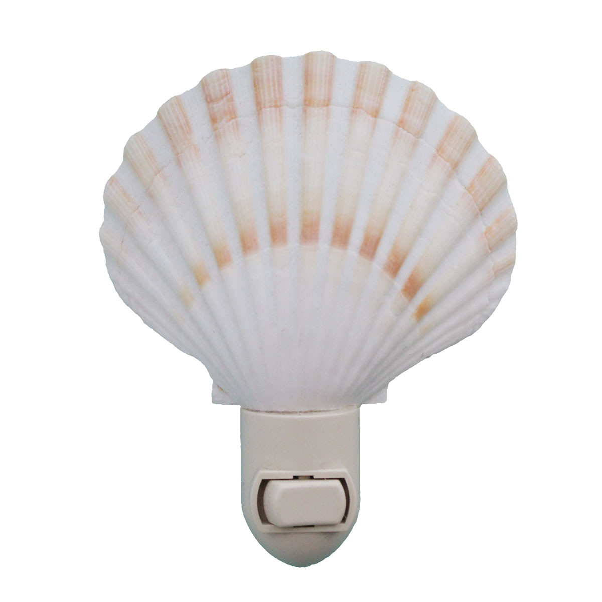 Handmade Sea Shell Night Lights - The California Seashell Company
