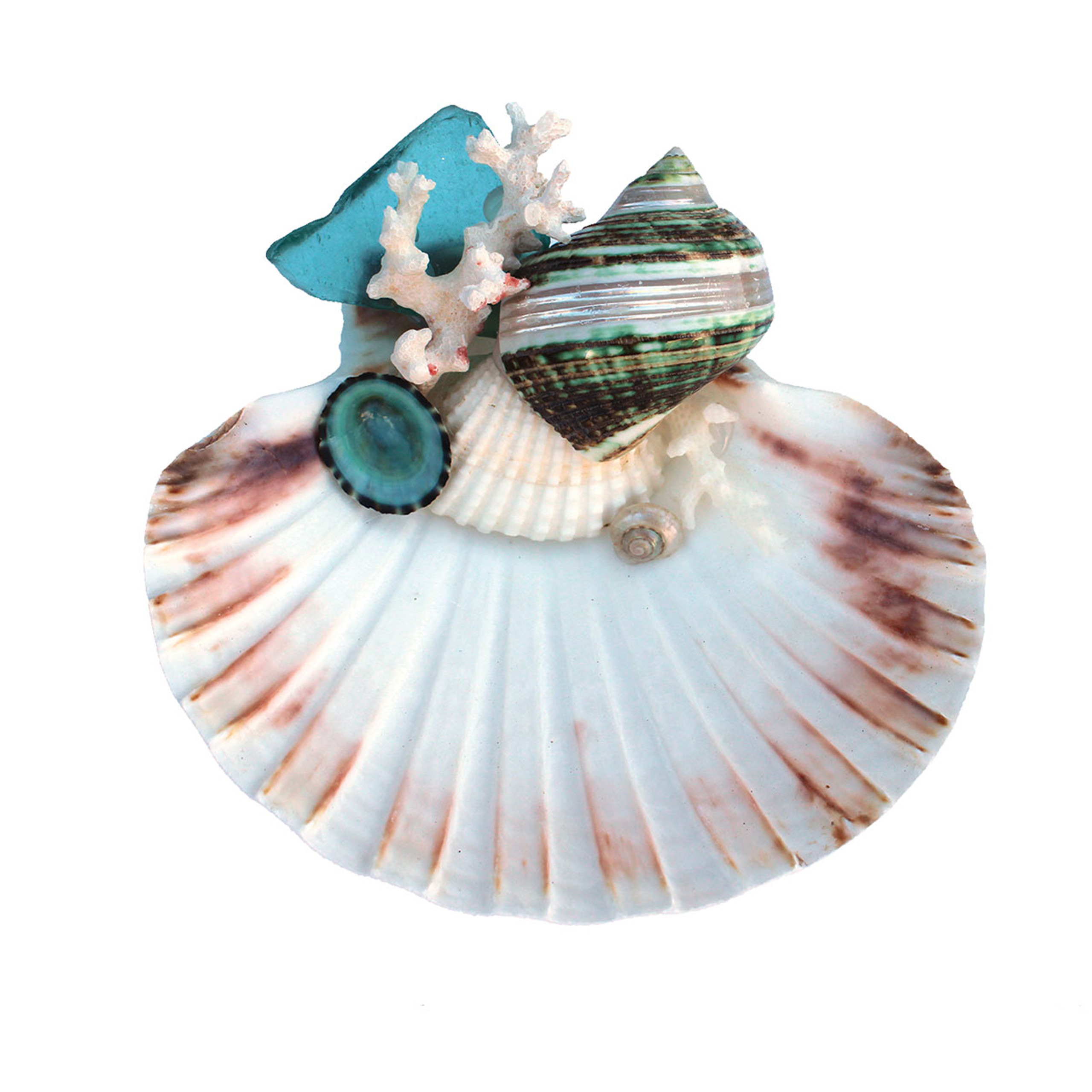 Aqua Sea Glass Imitation Seaglass California Seashell Company