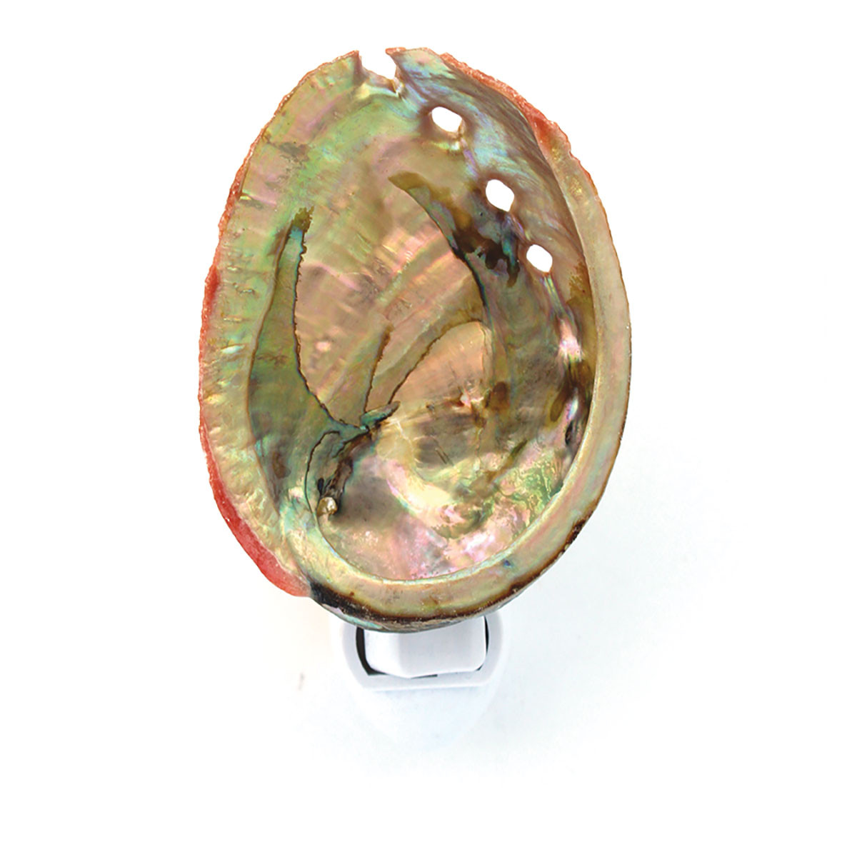 Scallop Shell Night Light - Shell & Nautical Bathroom Decor ...
