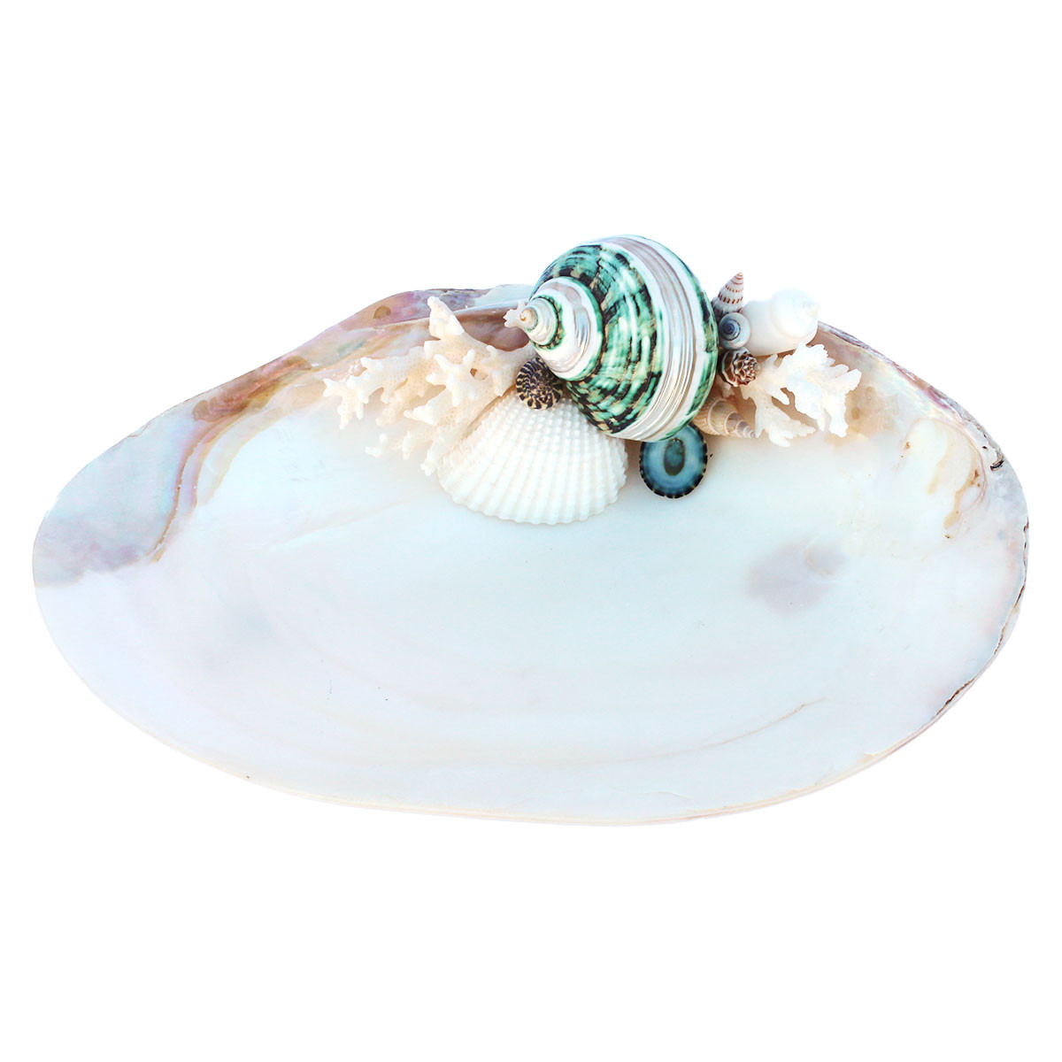 Hand-Crafted Large Oyster Ring Dish with Green Banded Turbo - Seashell ...