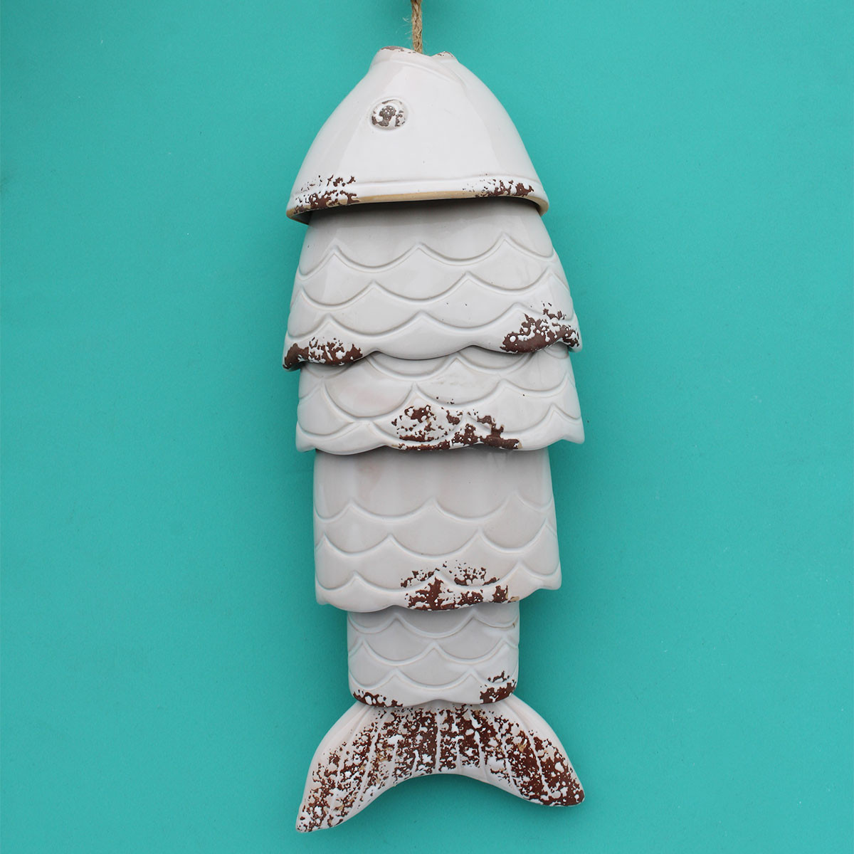 Celebrating 20 Years in Seal Beach, California - California Seashell ...