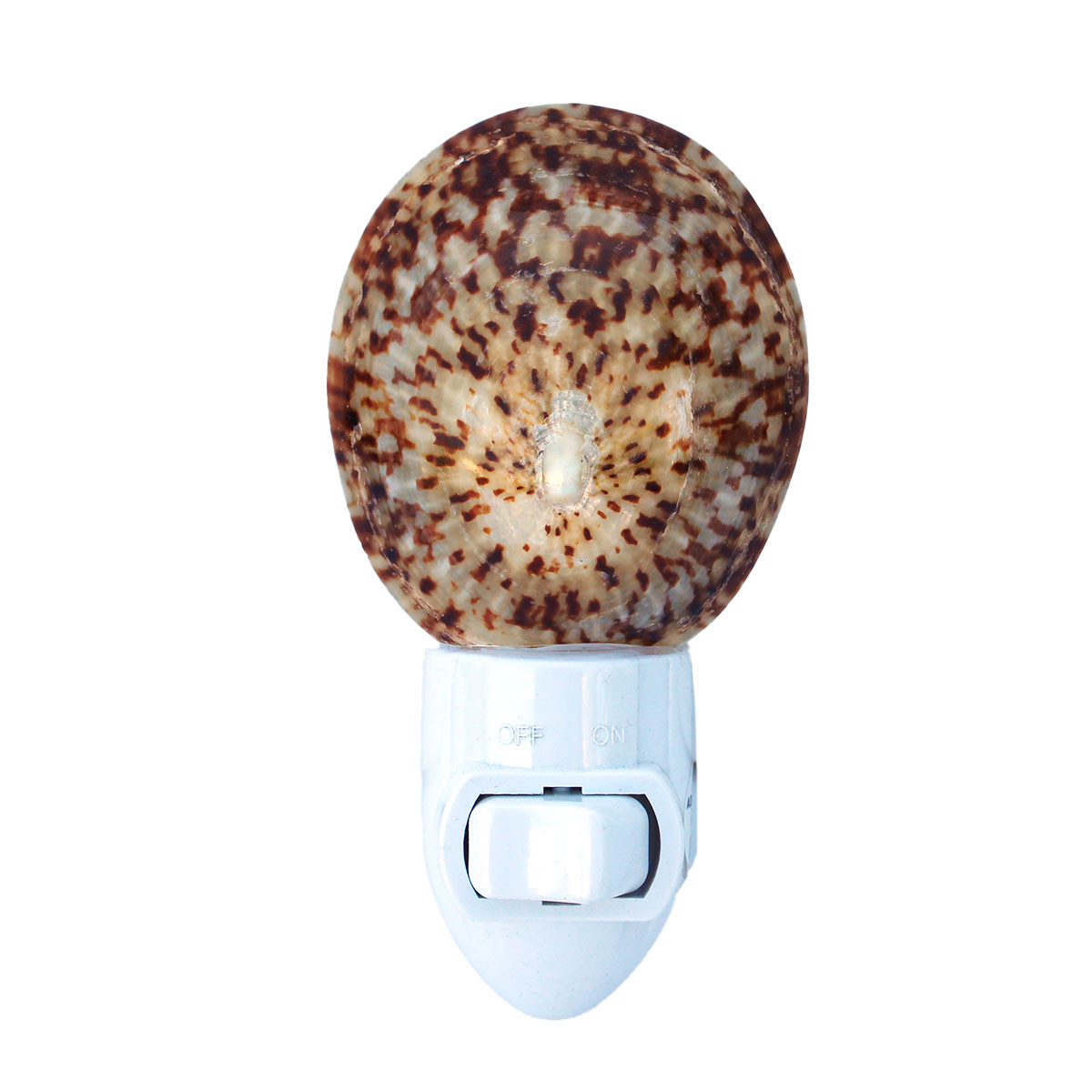 Handmade Sea Shell Night Lights - The California Seashell Company