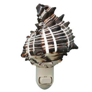 Handmade Sea Shell Night Lights - The California Seashell Company