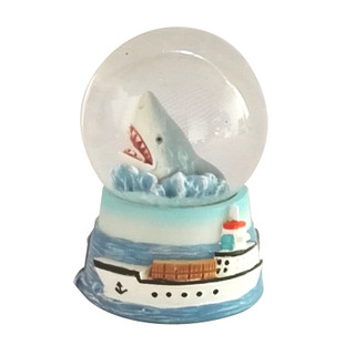 Authentic Shark Jaw - California Seashell Company