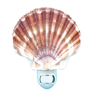 Handmade Sea Shell Night Lights - The California Seashell Company