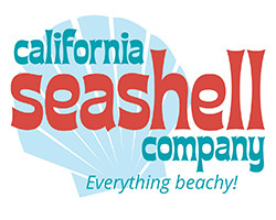 Coral Pieces - Natural Decorative Coral Chunks - California Seashell Co