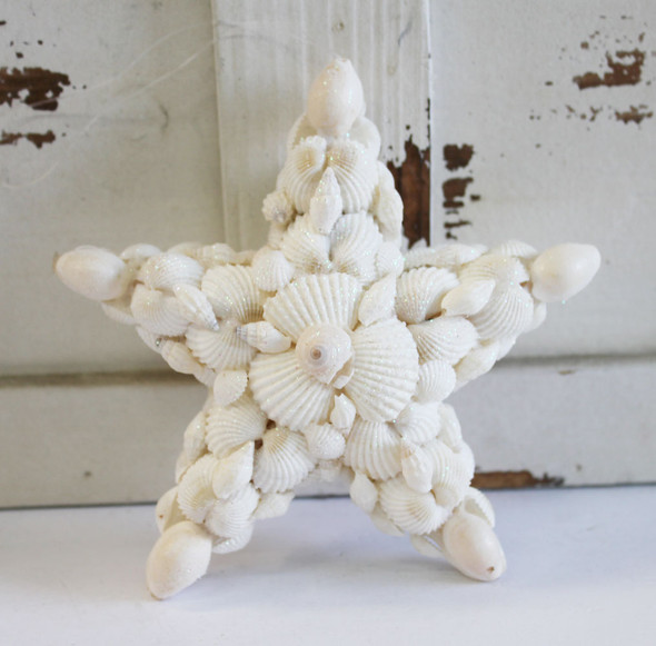 Seashell Novelties - Sea Shell Decor - The California Seashell Company
