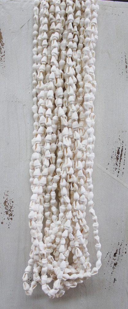 White Nassa Sea Shell Leis - 1 dozen - Seashell Necklaces - Beach ...