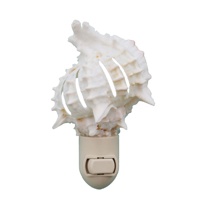 Handmade Sea Shell Night Lights - The California Seashell Company