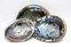 Blue & Green Abalone Seashells - Ear Shells - California Seashell Company